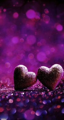 Hình nền màu tím đẹp và độc đáo nhất